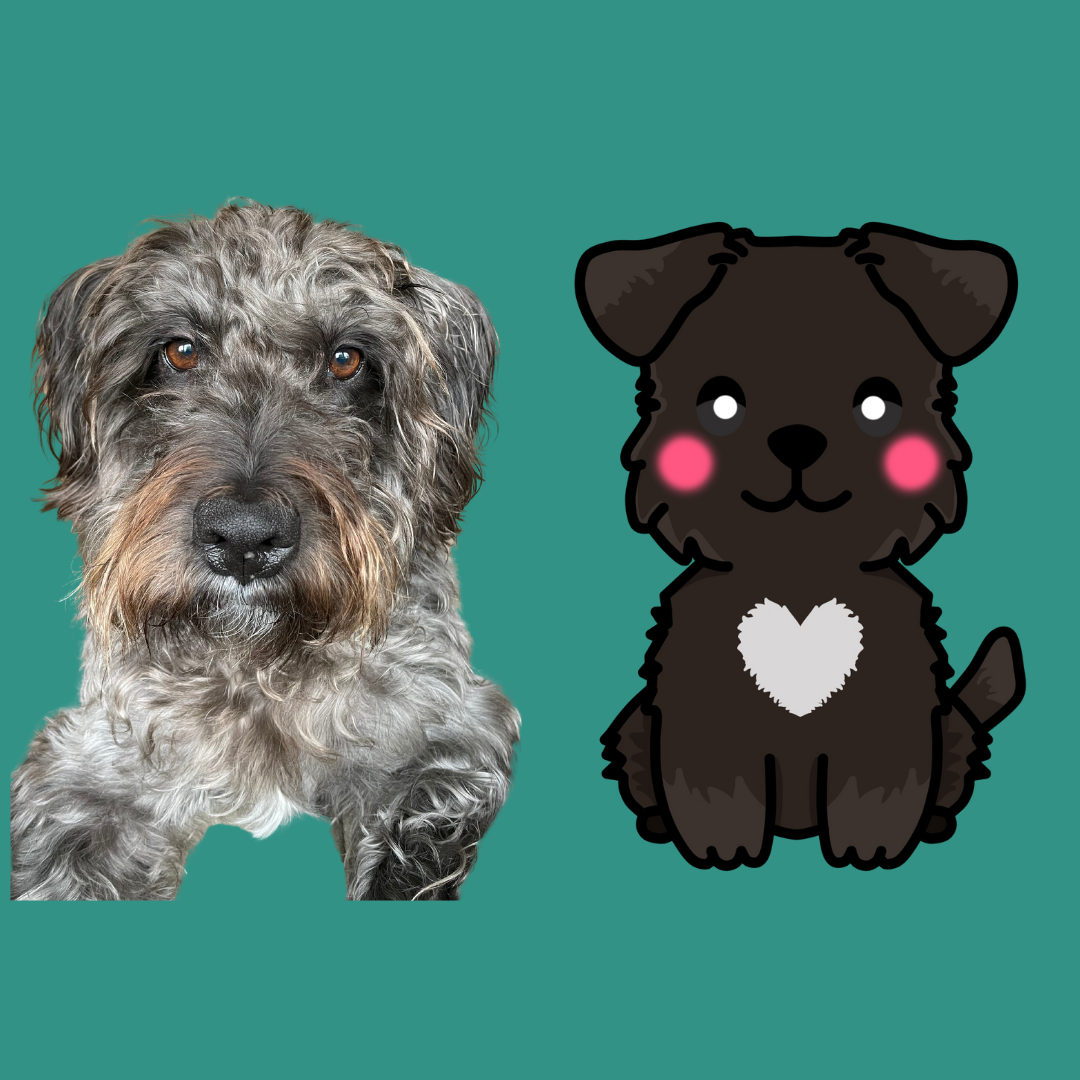 My favorite character | Rachelle Paige Campbell